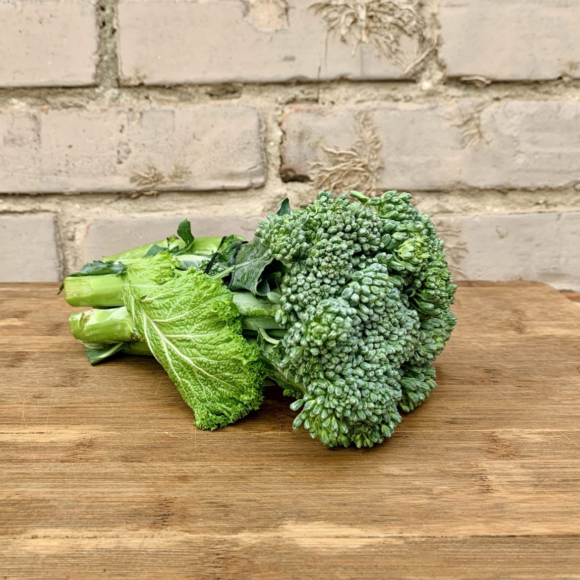 Broccoli Rabe - darkoct02