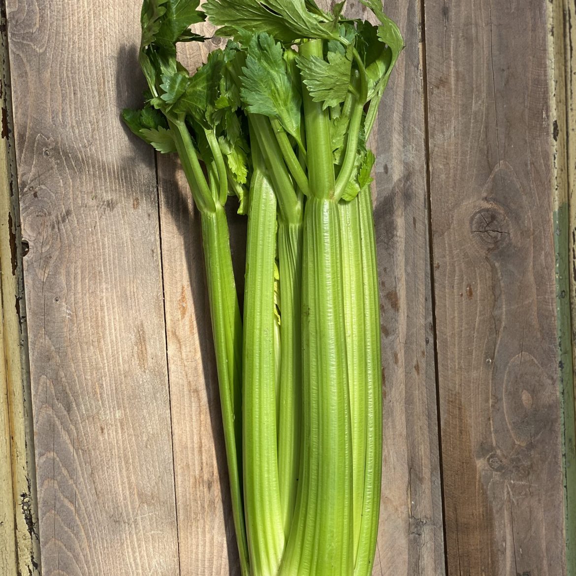 String Beans, LB - Giordano Garden Groceries